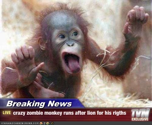 Is Your Bank A Zombie? | Wall Street Oasis