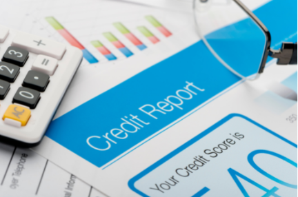 Credit Report Analysis - Overview, Creditworthiness, Contents | Wall ...