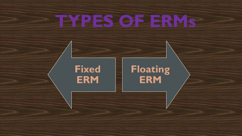 Exchange Rate Mechanism (ERM) - Overview, How It Works, & Types | Wall ...