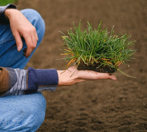 Free Rider - Overview, Examples, Prisoner's Dilemma | Wall Street Oasis