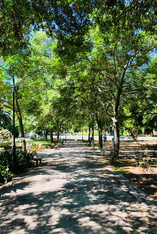 Free Rider - Overview, Examples, Prisoner's Dilemma | Wall Street Oasis