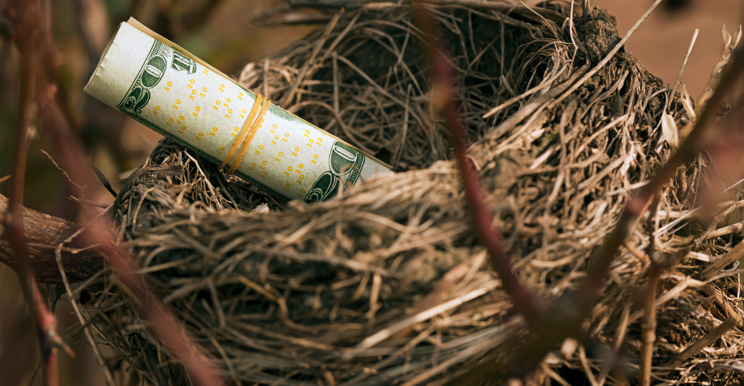 Nest Egg - Overview, Compounding Effect, Importance | Wall Street Oasis