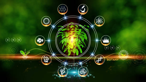 Theories of Growth - Classical, Neoclasical, Endogenous Growth Theories ...