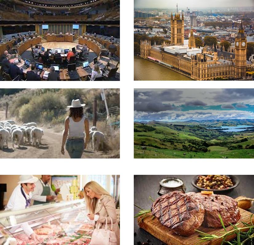 Tragedy of the Commons - Overview, History, and Practical Example ...