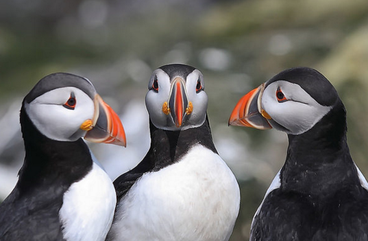 Middle Market IB out of college | Wall Street Oasis