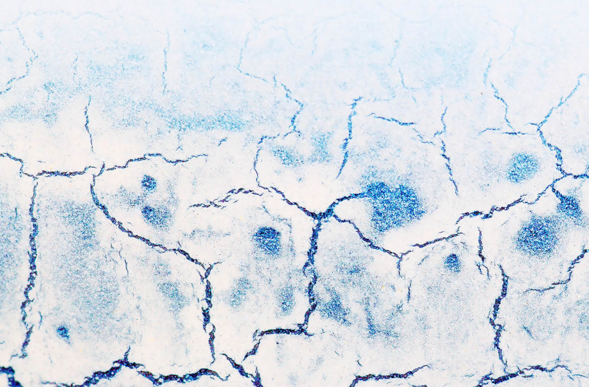 Cracks in the PE Bubble Beginning to Show? | Wall Street Oasis