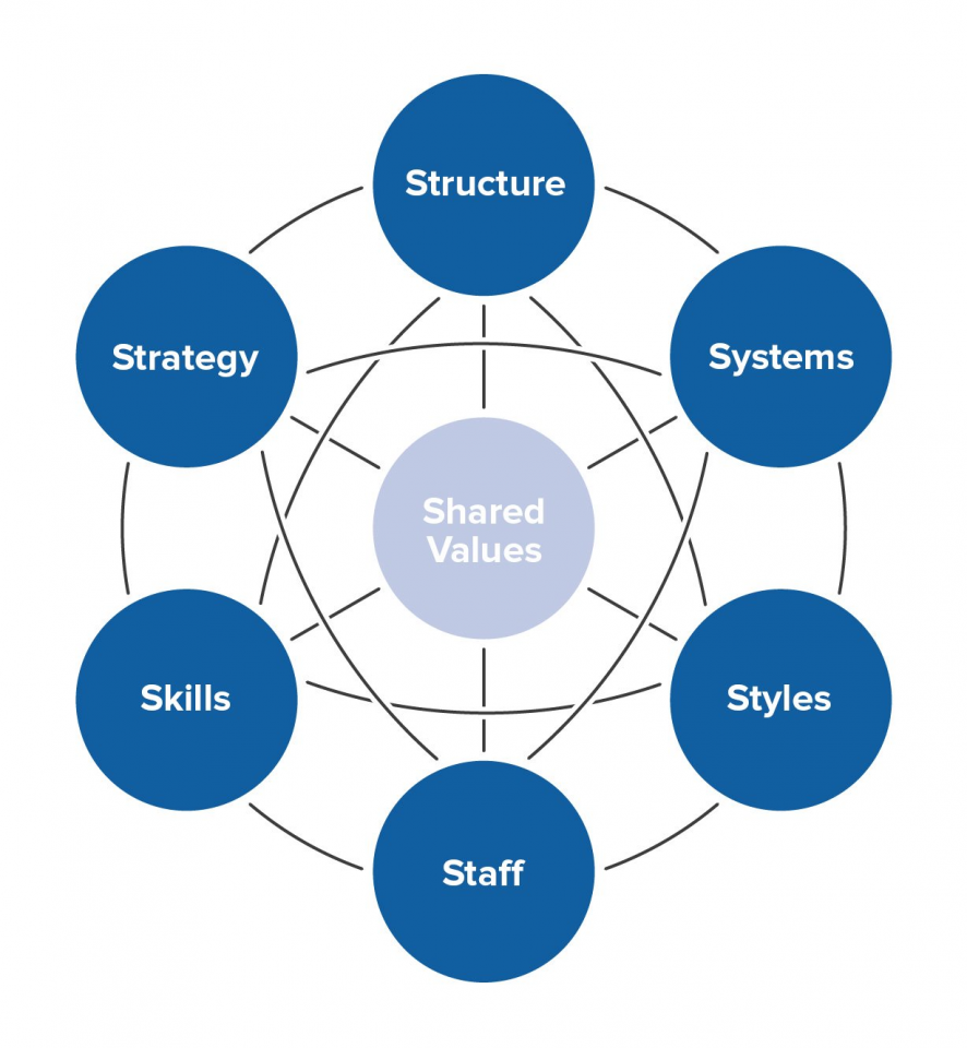 Organizational Analysis - Overview, Characteristics, Models | Wall ...