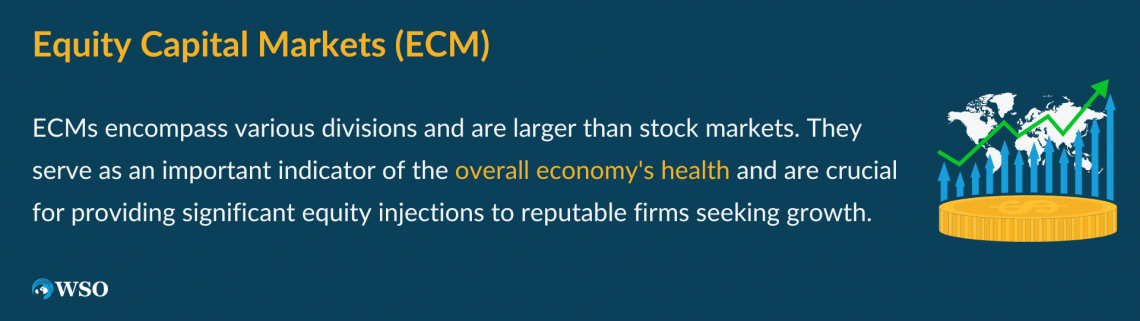 Equity Capital Market (ECM) - Overview, Instruments, Participants ...