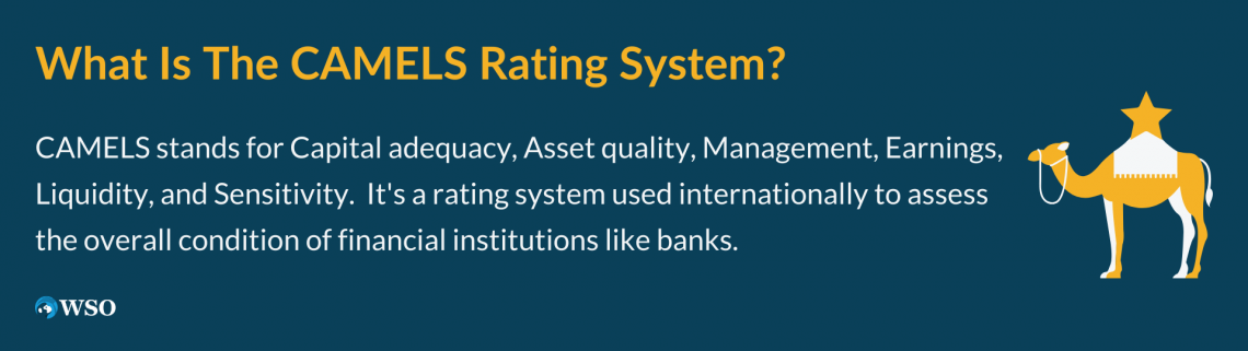CAMELS Rating System - Overview and Calculation Example | Wall Street Oasis