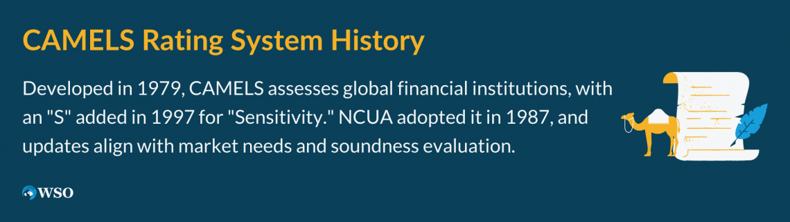 CAMELS Rating System - Overview and Calculation Example | Wall Street Oasis