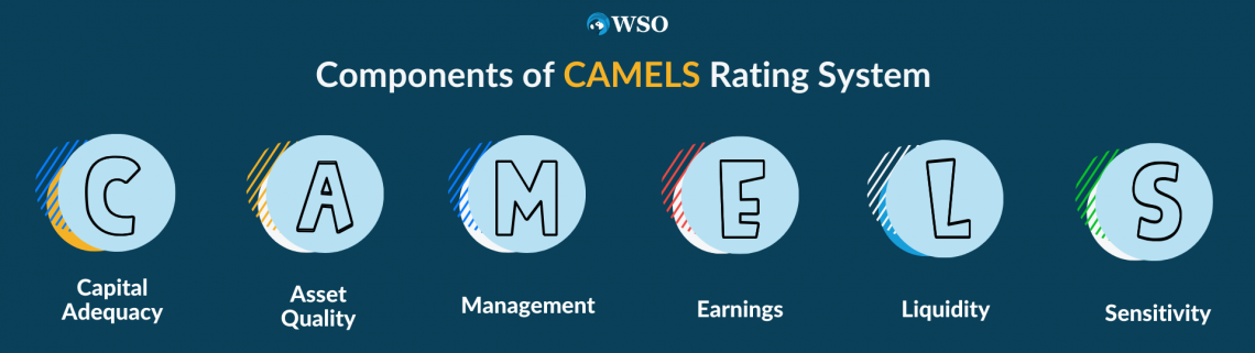 CAMELS Rating System - Overview and Calculation Example | Wall Street Oasis