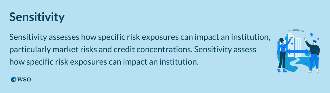 CAMELS Rating System - Overview and Calculation Example | Wall Street Oasis
