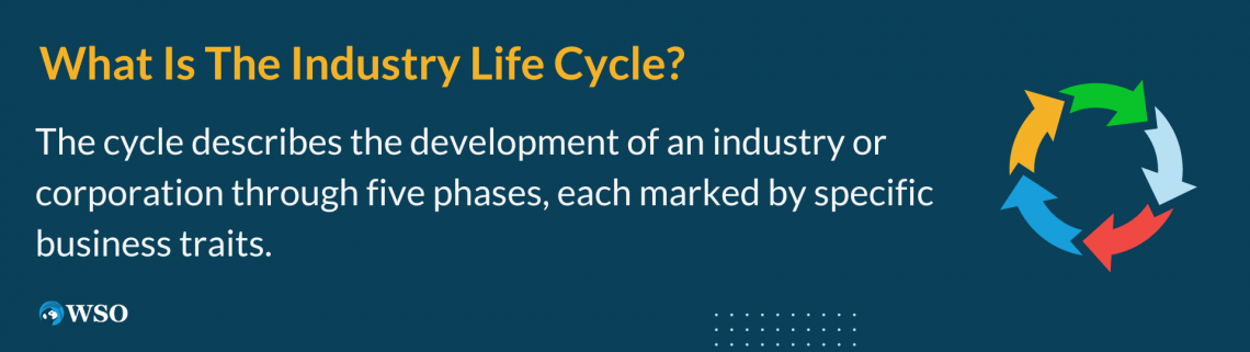 Industry Life Cycle - Identify Different Stages of An Industry Life ...