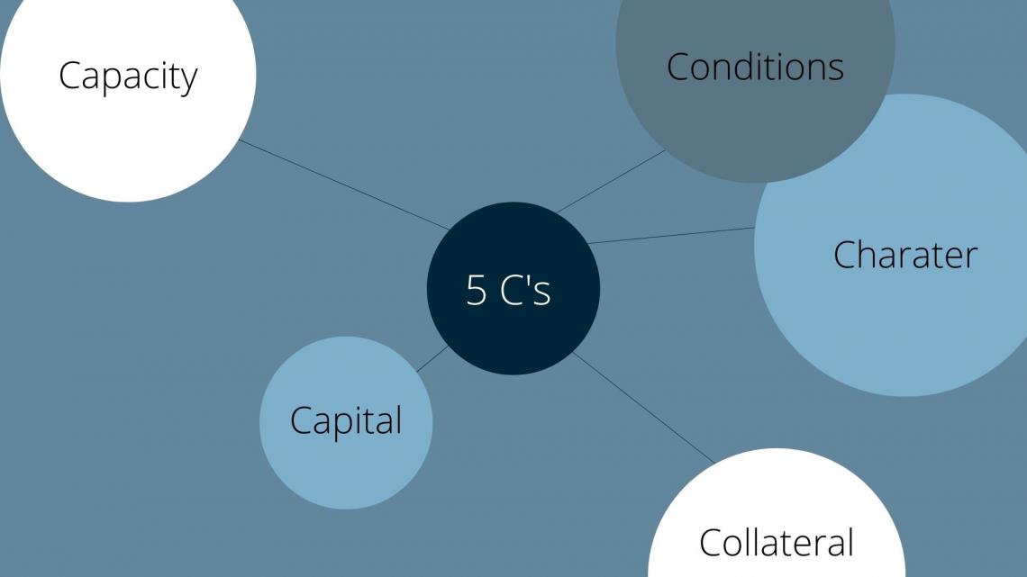 Borrower’s Capacity - Overview, Internal and External Factors | Wall ...