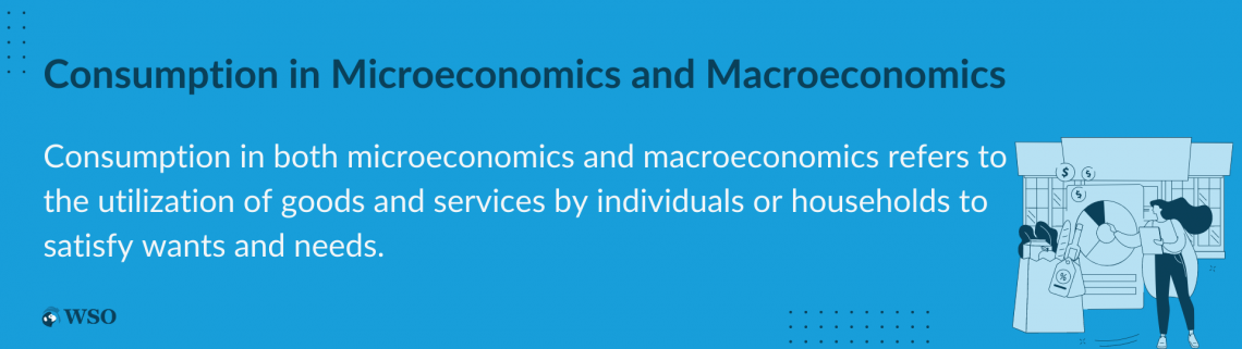 Consumption - Definition, Neocllasical Economics, Importance | Wall ...