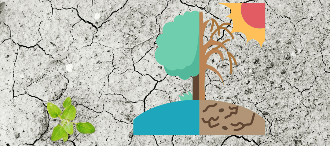 Green Budgeting - Meaning, Uses, Measurement | Wall Street Oasis