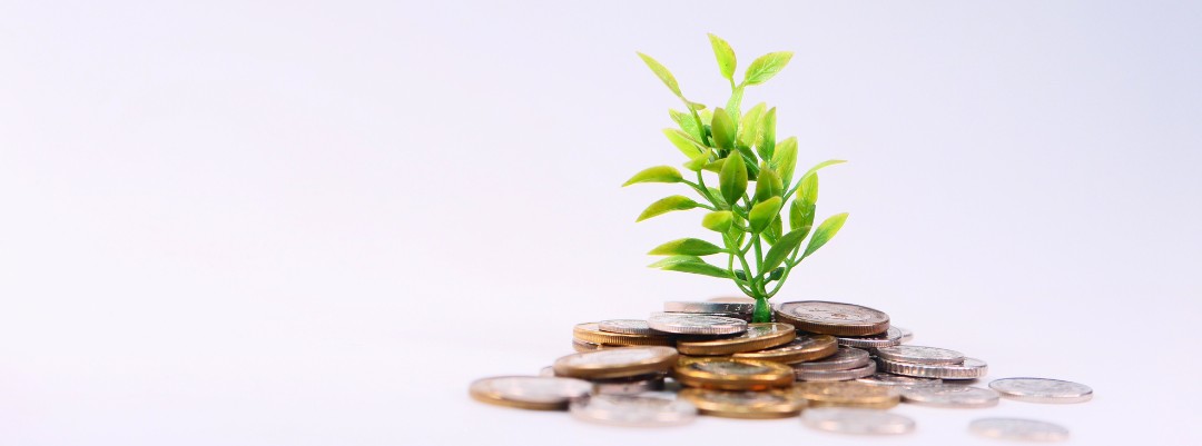 Netting - Overview, Types, Numerical Example, Benefits | Wall Street Oasis