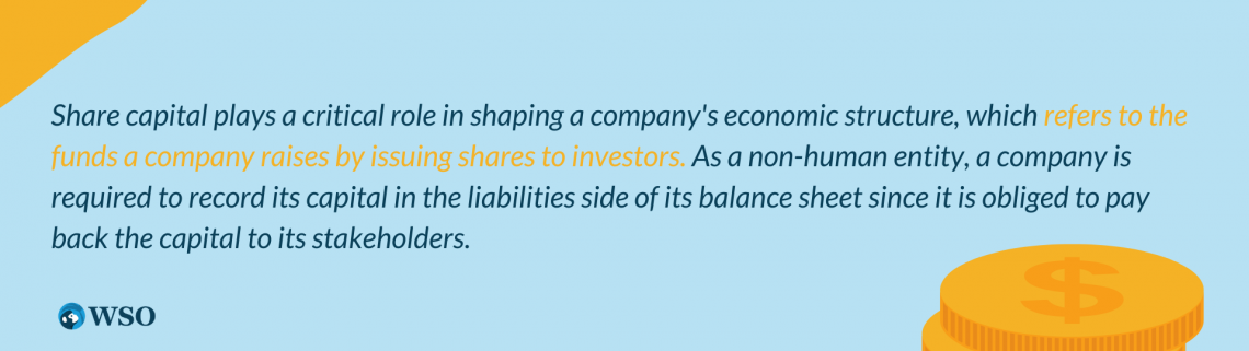 Share Capital - Equity Invested by Shareholders and Investors | Wall ...