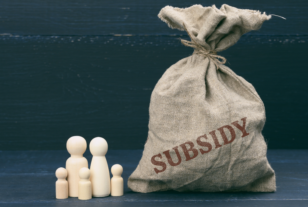 Subsidy - Overview, Examples, Advantages and Disadvantagges | Wall ...