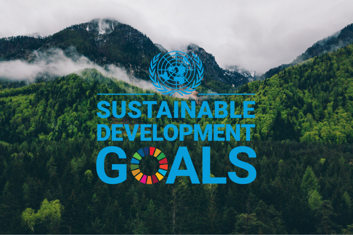 Sustainable Development Goals - Meaning, Definition, Concepts | Wall ...