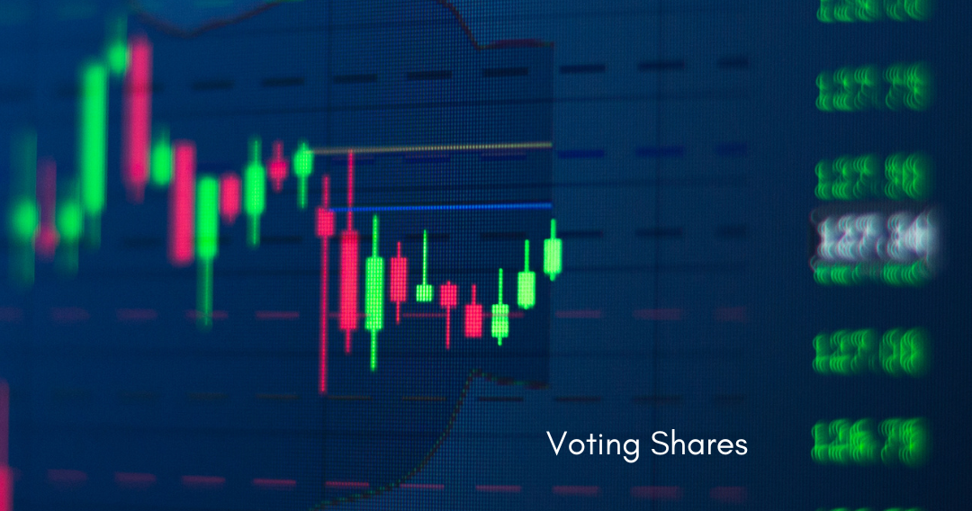 Voting Shares - Overview, Importance, Practical Example | Wall Street Oasis
