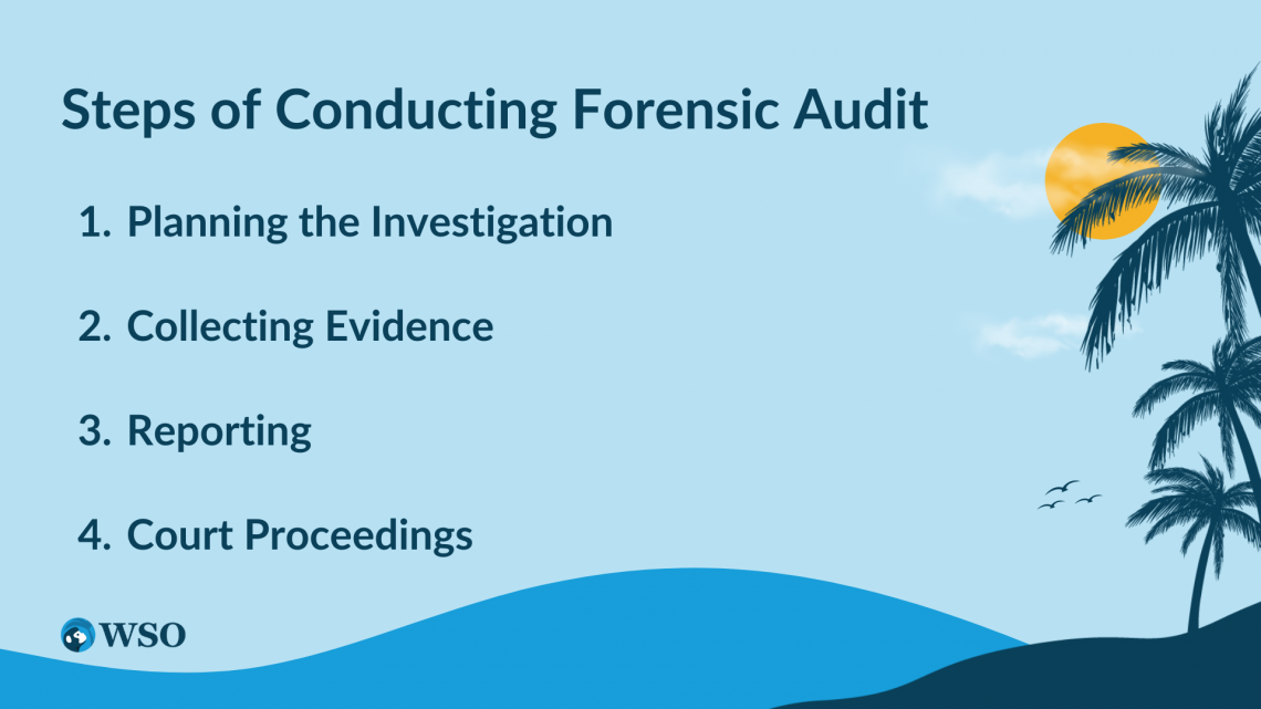 Forensic Audit Guide - Why and How Forensic Audits are Peformed | Wall ...