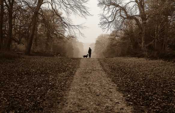 The Unconventional path to IB/PE (Q&A) | Wall Street Oasis